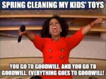 Funny Spring Cleaning Memes for Moms