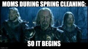 Funny Spring Cleaning Memes for Moms