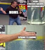 Funny Spring Cleaning Memes for Moms