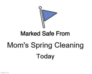 Funny Spring Cleaning Memes for Moms