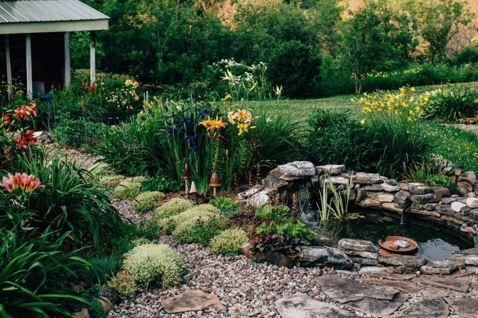 How to Encourage Biodiversity in Your Yard